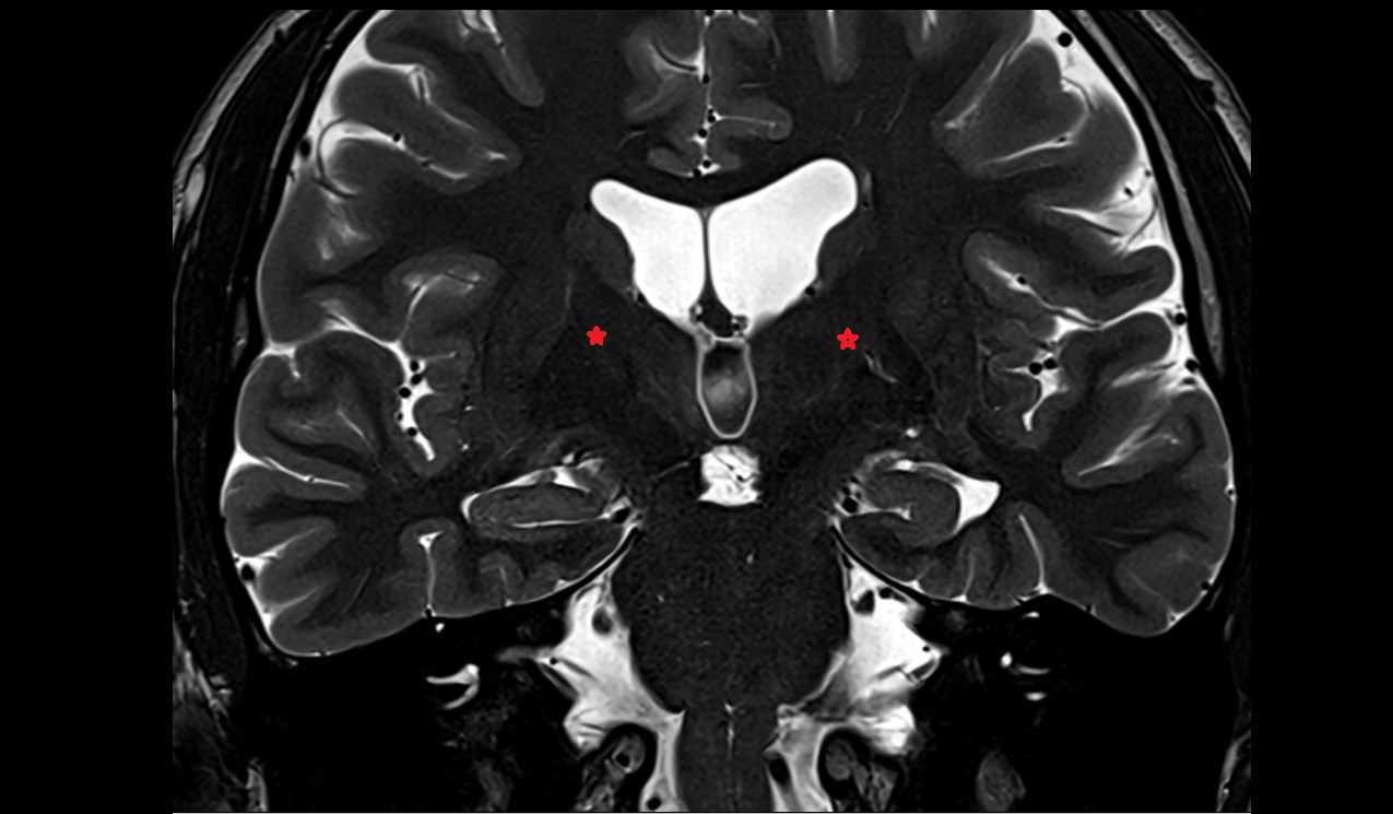 Home [anatomymaster.site]