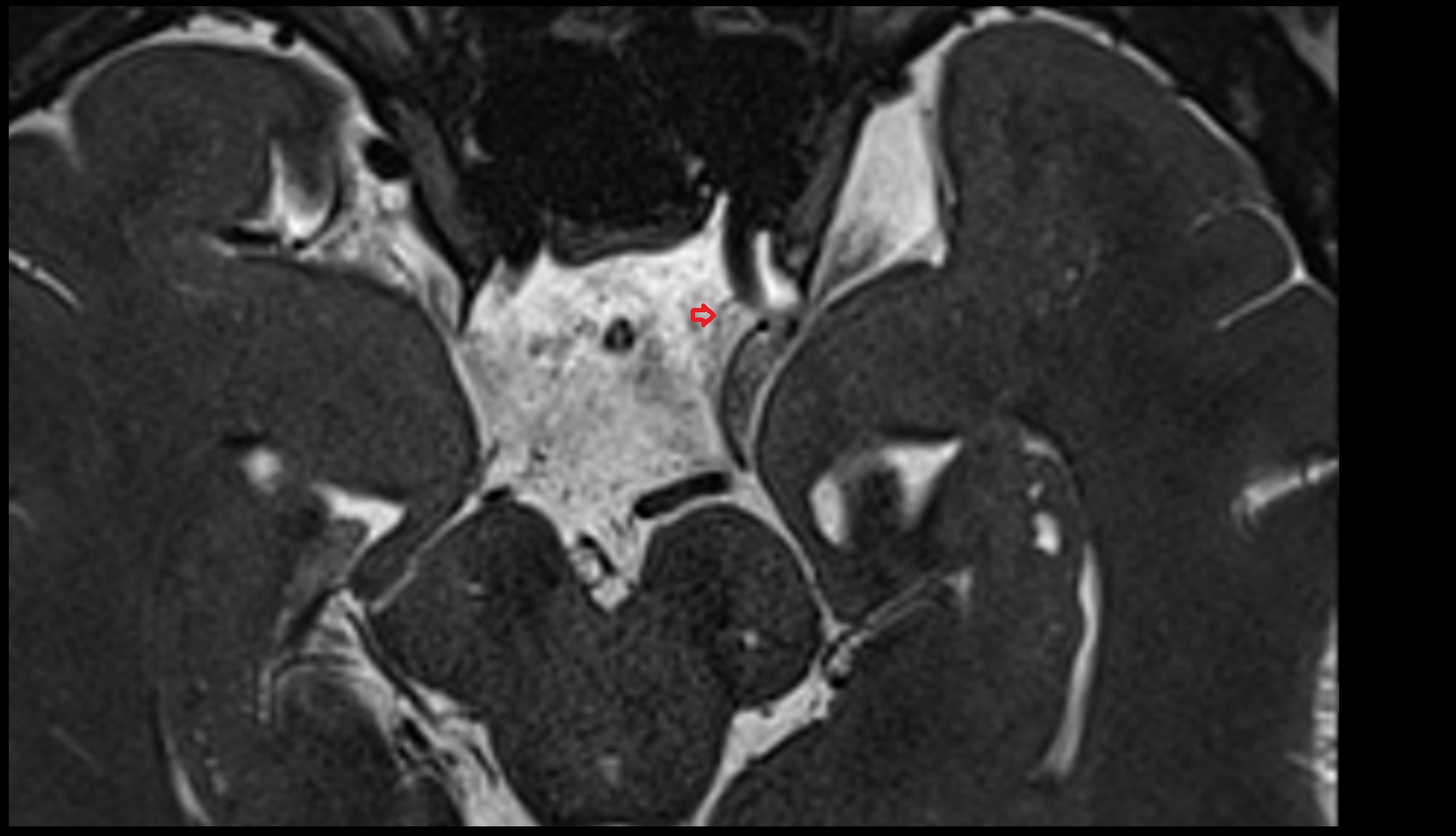 Home [anatomymaster.site]