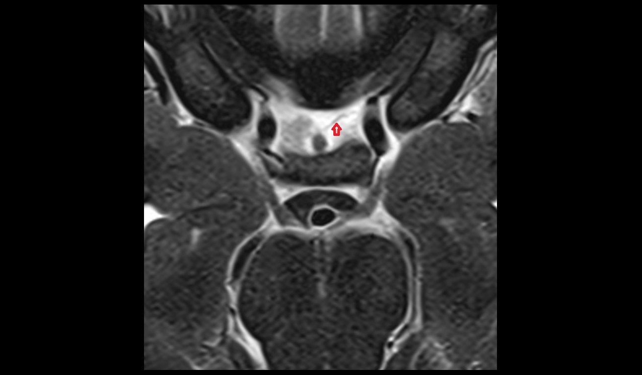 Home [anatomymaster.site]